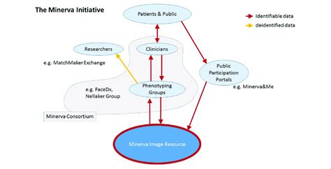 Schematic Overview Of The Minerva Initiative Structure And Data Flow Download Scientific