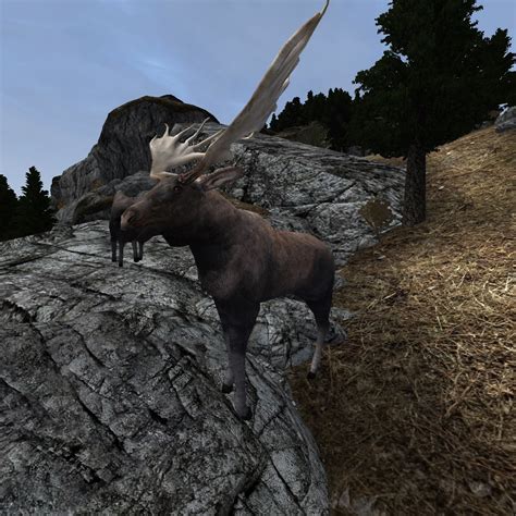 Tamriel Data Elk Uesp Wiki The Unofficial Elder Scrolls Pages