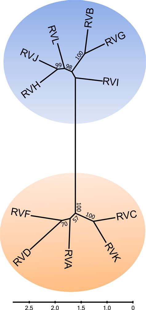 【文献解读】新型轮状病毒k种的基因组分析 上海探普生物科技有限公司