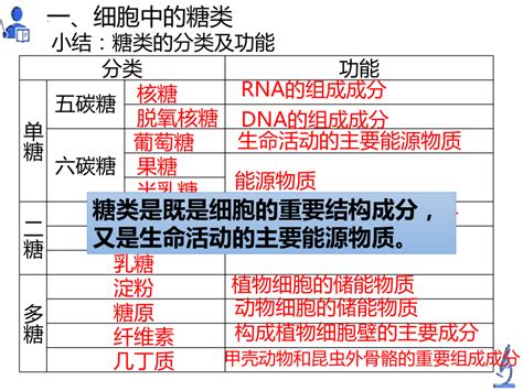 2 3 细胞中的糖类和脂质 课件 共34张ppt 2023 2024学年高一上学期生物人教版必修一 21世纪教育网