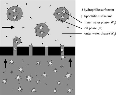 Schematic Drawing Of The Production Of A Double Emulsion W 1 Ow 2