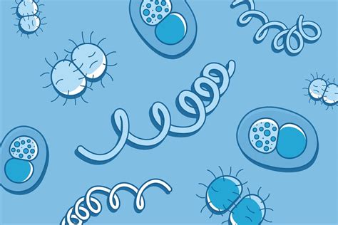 Bacterial Stds Priority Std Testing
