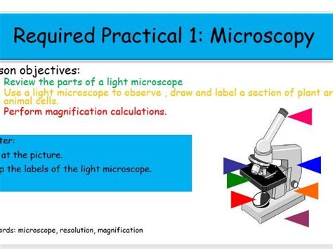 Aqa Cell Biology Required Practical 1 Microscopy Teaching Resources