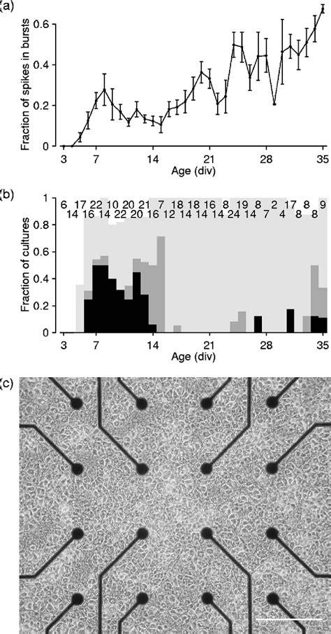 Figure 1 From Persistent Dynamic Attractors In Activity Patterns Of Cultured Neuronal Networks