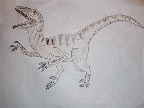 Рисунок велоцираптора 75 фото