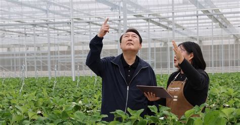 스마트팜 체험하는 윤석열 대통령