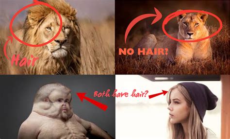 Why Gender Is A Myth And What That Means For The World By Theknower