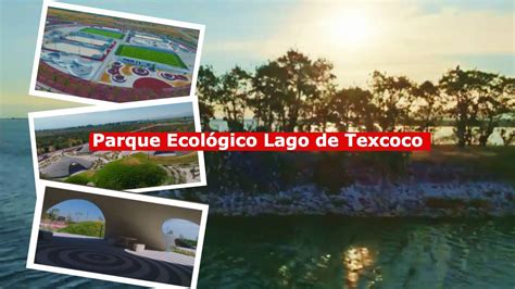 Chilango Parque Ecológico Lago De Texcoco Cuándo Se Inaugura Qué