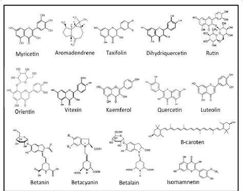 Structures Of Most Important Phytochemicals Found In Opuntia