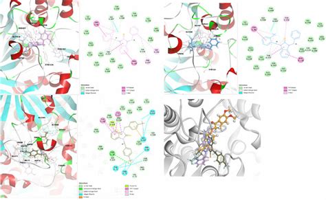 3 D And 2 D Docking Poses And Superimposed Interactions Of Compounds Download Scientific