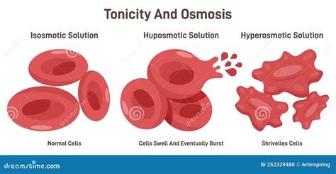 Isotonic Cell