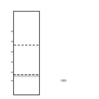 Schematic Testing Device For Internal Stability Testing Download Scientific Diagram