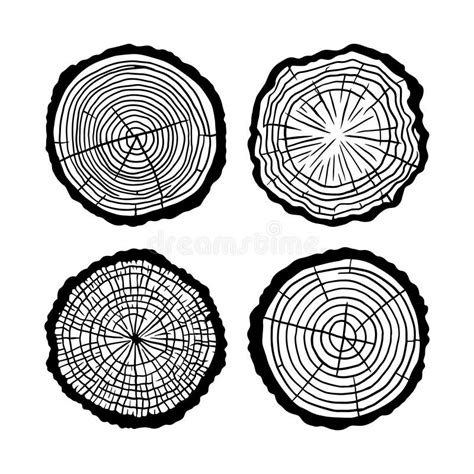 Tree Ring Clipart Wood Slice Svg Log Cross Section Illustration Stock Vector Illustration Of
