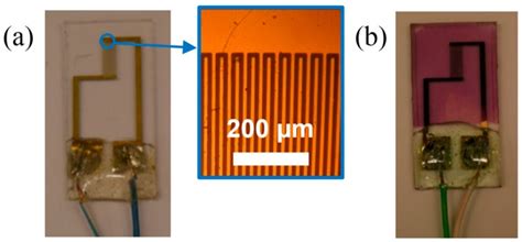 Enhanced Sensitivity Of Gas Sensor Based On Poly 3 Hexylthiophene Thin Film Transistors For