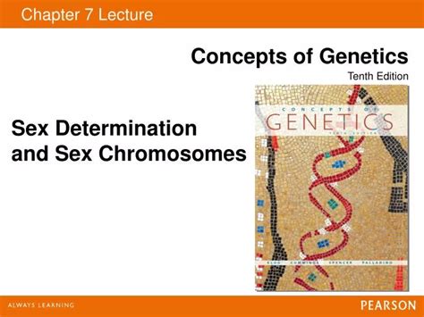 Ppt Chapter 7 Lecture Powerpoint Presentation Free Download Id 6782951