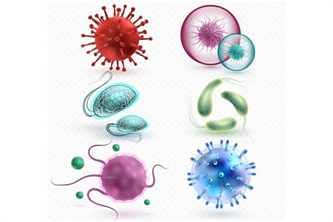 Types Of Microorganisms With Names