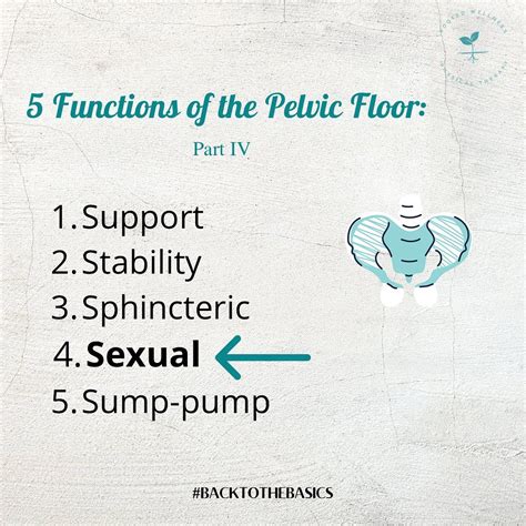 🎶 Lets Talk About Sex Rooted Wellness Physical Therapy