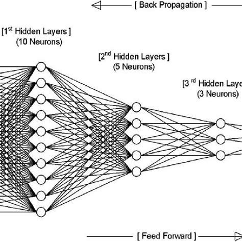 Artificial Neural Network Ann Topology For Net2 Download Scientific Diagram