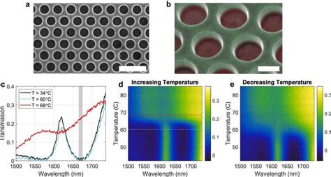 New Metasurface Based Edge Detecting Filter For Remote Sensing Could Transform Crop Monitoring
