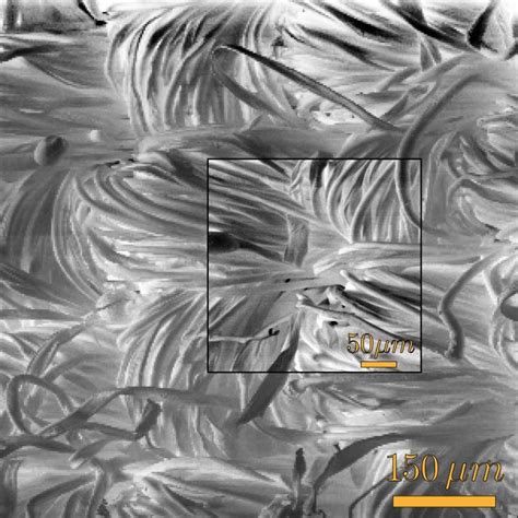 Building A Microscope That Sees With Helium Matlab And Simulink