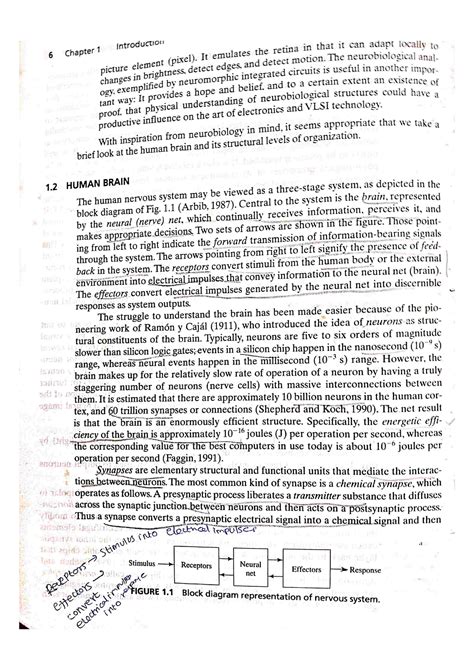 Ann 1 Unit 1 Notes Of Artificial Neural Networks Artificial