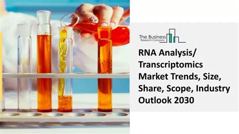 Ppt Rna Analysis Transcriptomics Market Growth Analysis Latest Trends 2030 Powerpoint