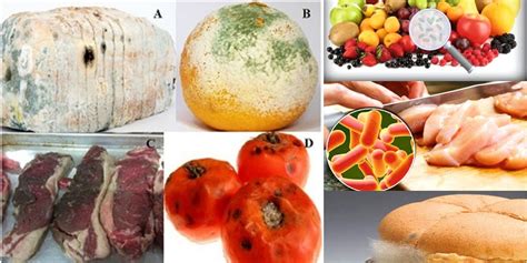 Preservation And Spoilage Of Milk And Milk Products Biology Notes Online