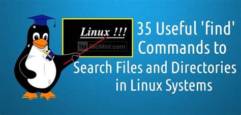 Practical Examples Of Linux Find Command