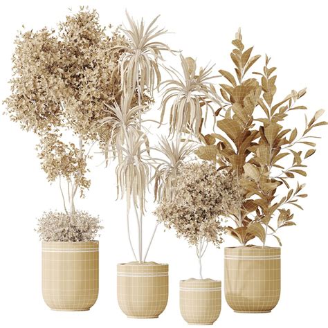 Av Indoor Plants Set 187 3d 모델 다운로드 관엽식물 On