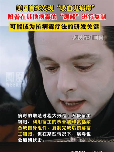 美国首次发现“吸血鬼病毒”，附着在其他病毒的“颈部”进行复制吸血鬼病毒 吸血鬼凤凰网视频凤凰网