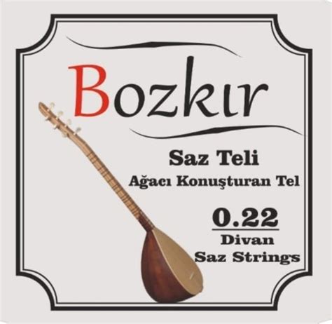 Bozkir 022 Dİvan Saz Telİ Full Set İyi Seçenek Alışveriş İçin En
