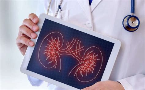 C Diff C Diff Symptoms