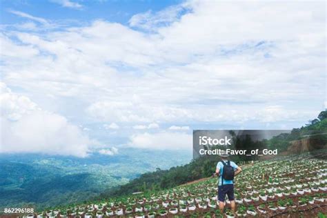 딸기 필드에 서 있는 남자를 여행 하 고 딸기 필드 하늘과 산의 보기를 즐길 수 경관에 대한 스톡 사진 및 기타 이미지 경관 관광 관광객 Istock