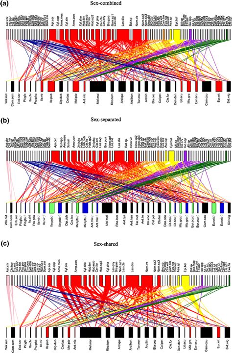 Diagrammatic Representation Of Plant Pollinator Networks At The Download Scientific Diagram