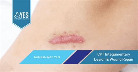 Review Repair Of Lacerations And Skin Lesions In Cpt Refresher Course