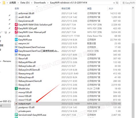 【干货】windows测试拉流工具及操作步骤大汇总 csdn博客