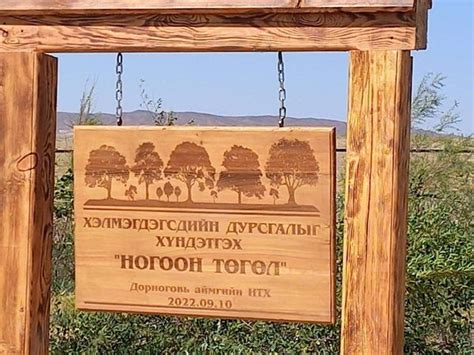 Ногоон төгөл байгууллаа