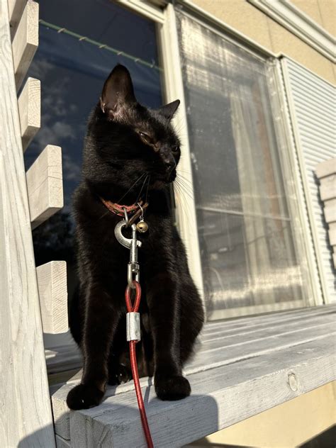 しろ Ta 464 Twilog ツイログ