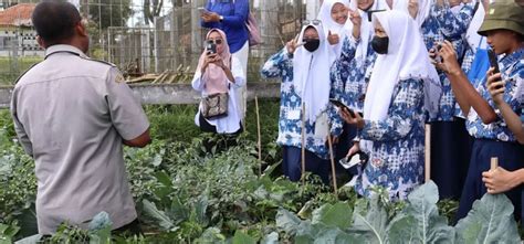 Outing Class Observasi Mtsn 17 Jakarta Outing Class Observasi Mtsn 17 Jakarta