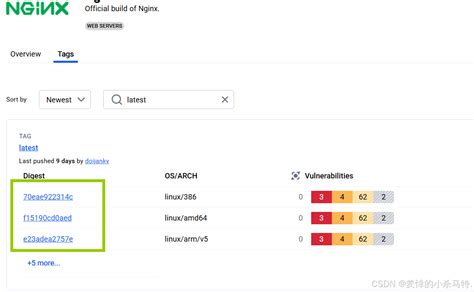 Docker 容器化部署核心实战：从镜像仓库管理、容器多参数运行到 Nginx 服务配置与正反向代理原理解析 实践 Yfceshi 博客园