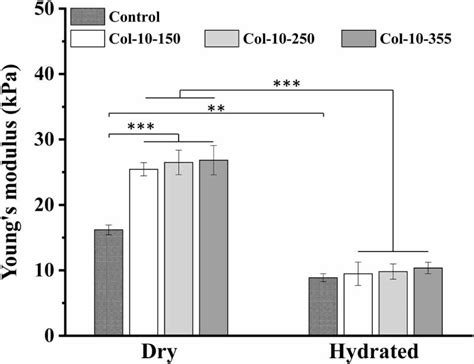 Youngs Modulus Of Plga Templated Collagen Scaffolds And Control