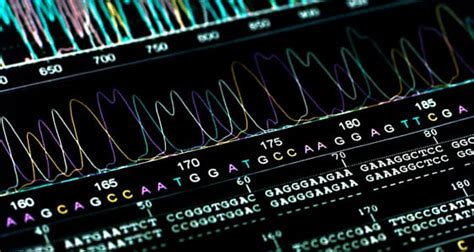 Biostatistics Phd Find Your Degree