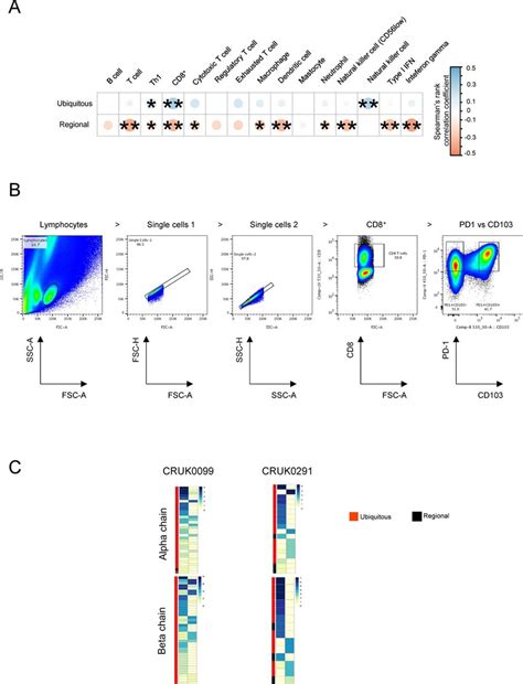 Further Analysis Of Tcr Clusters A The Clustering Algorithm Was Run On Download Scientific
