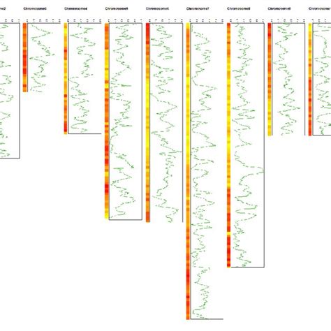 The Distribution Of Polymorphism Information Content Pic