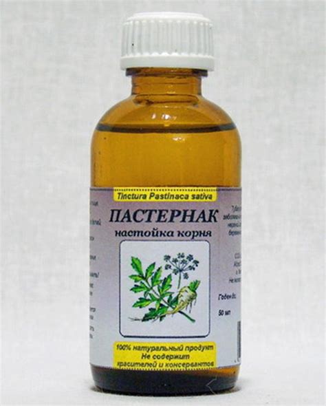 Пастернак: описание растения, полезные свойства корнеплода, применение