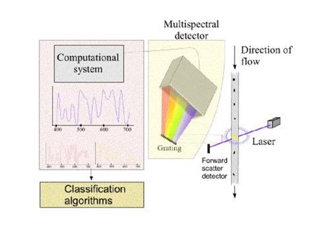 Flow Cytometry Animation
