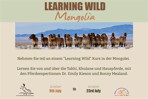 Learning Wild Kurs Save The Wild Horse