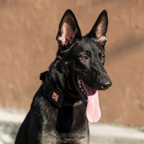 Home Bnz Rewards Portal