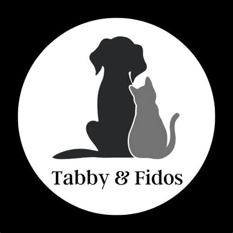 Tabby And Fidos Cat Cafe Bowling Green Oh