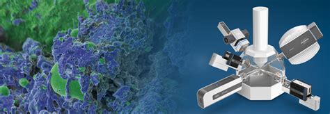 Eds、wds、ebsd、sem Micro Xrf Bruker